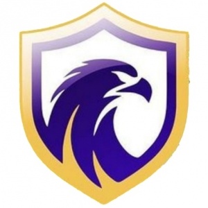 Falcon FC Sub 20: All the info, news and results