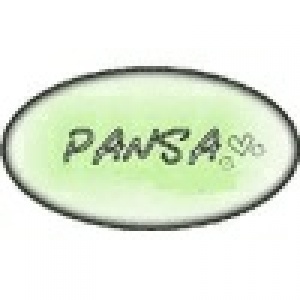 PanSA East: All the info, news and results