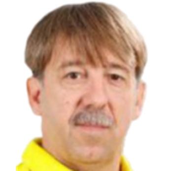 Zoran Vulic: Information, teams and honours