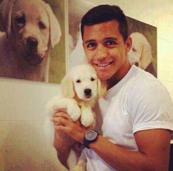 Alexis the 'Master' of dogs