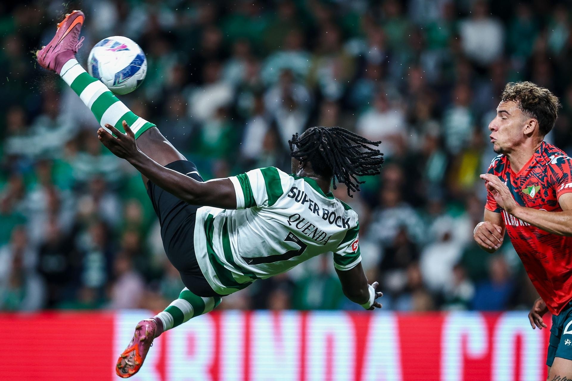 Quenda e Catamo destacam-se na Champions: ''Daremos sempre o máximo ...