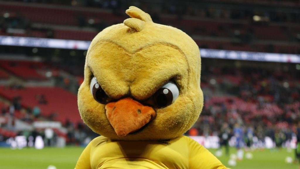Mascote do Brasil é barrado de assistir aos jogos da Seleção