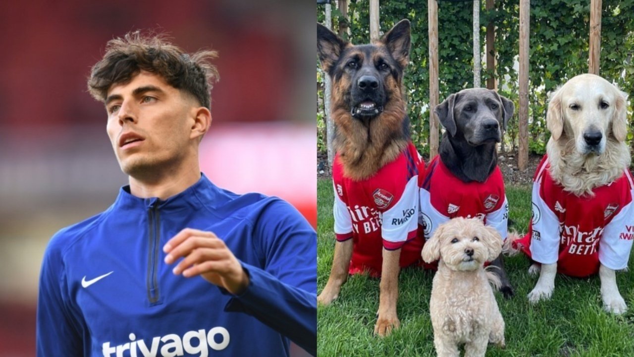 Havertz brings Arsenal's 'ruff' reinforcements